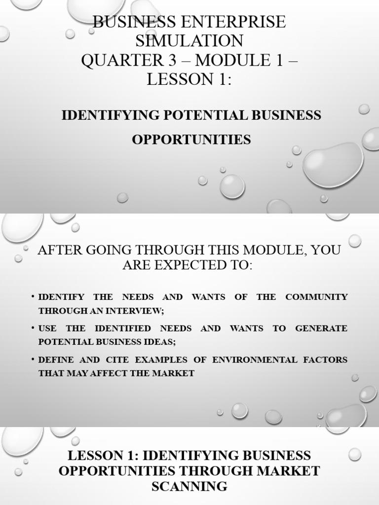 Business Enterprise Simulation | PDF | Economic Growth | Market (Economics)