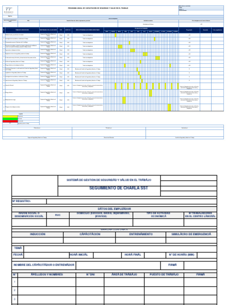 Plan Anual CSST 2022j | PDF