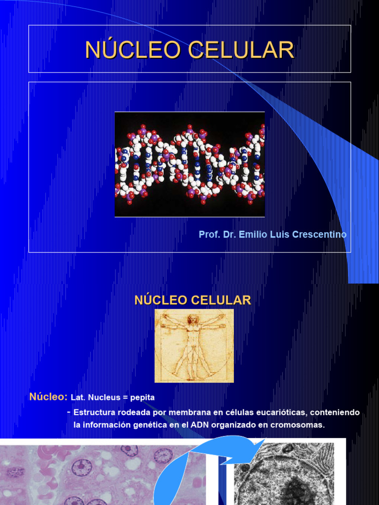 Núcleo Celular | PDF
