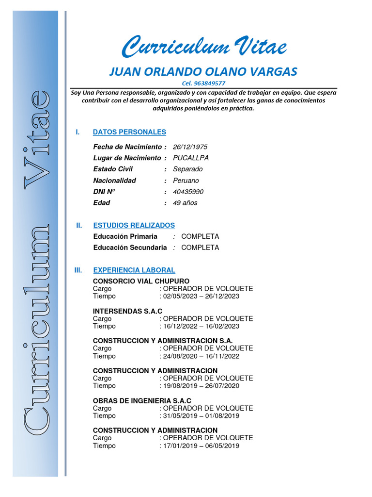 Curriculum Vitae JUAN | PDF
