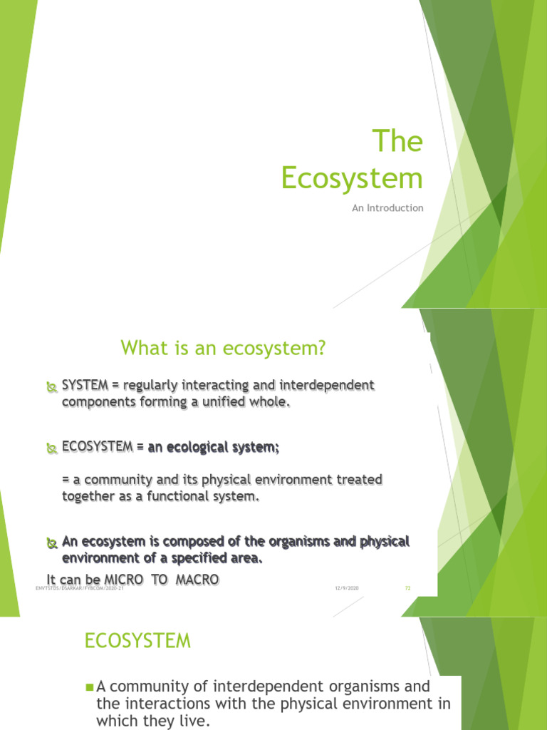 FYBCOM Environment Studies | PDF | Ozone Depletion | Ecosystem