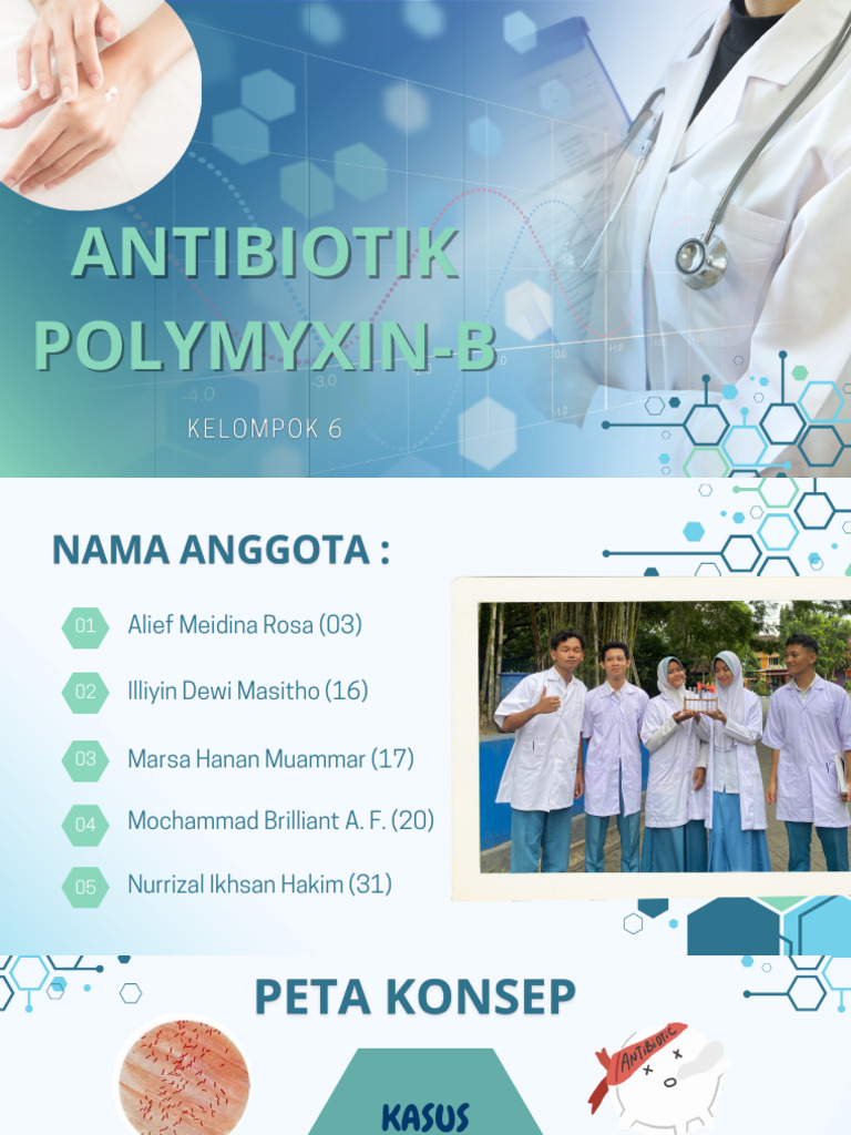 Bio Kel 6 | PDF