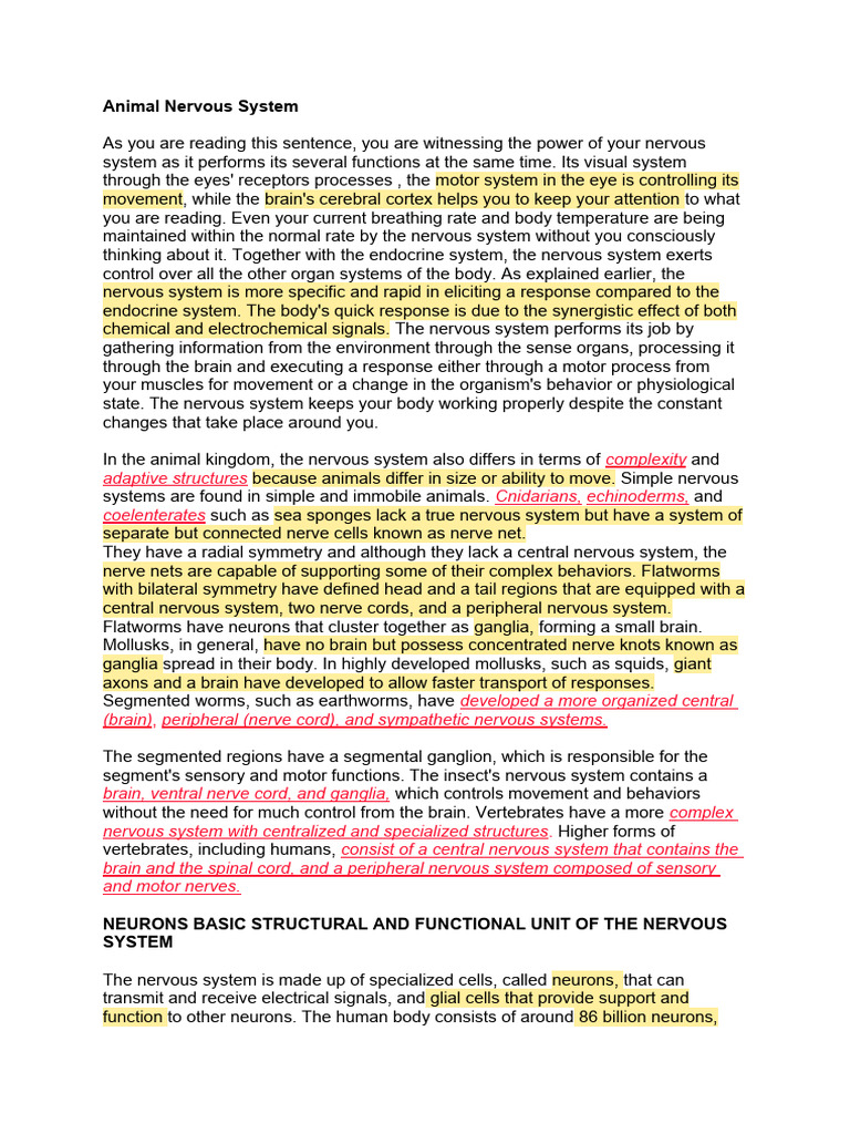 Telelettelelet Reviewer | PDF | Neuron | Nervous System