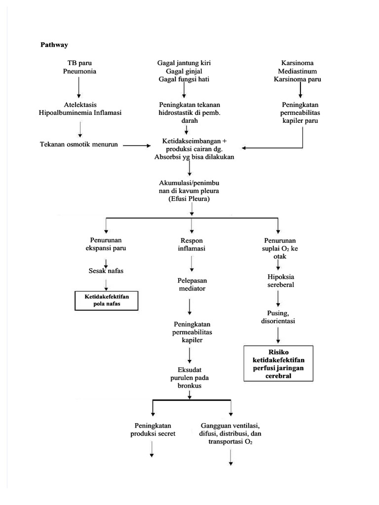 PDF Pathway Efusi Pleura - Compress | PDF