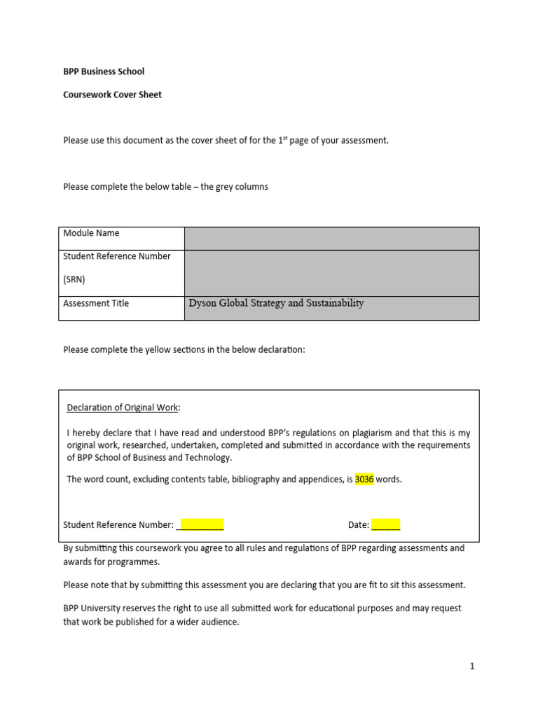 Dyson Global Strategy and Sustainability | PDF | Supply Chain ...