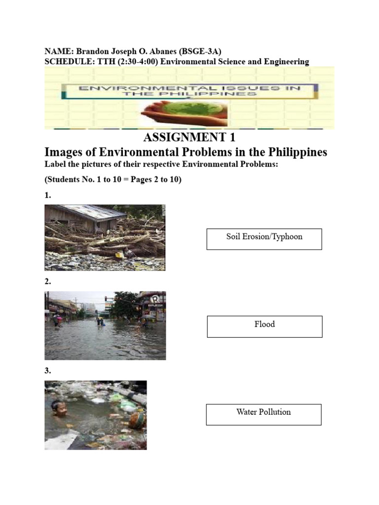 Assignment 1 - Environmental Problems in The Philippines | PDF