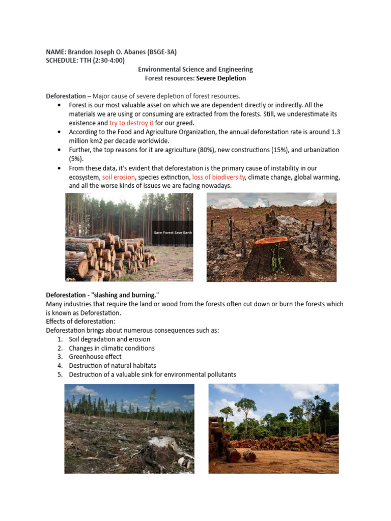 Assignment 4 - Forest Resources Severe Depletion | PDF | Deforestation ...
