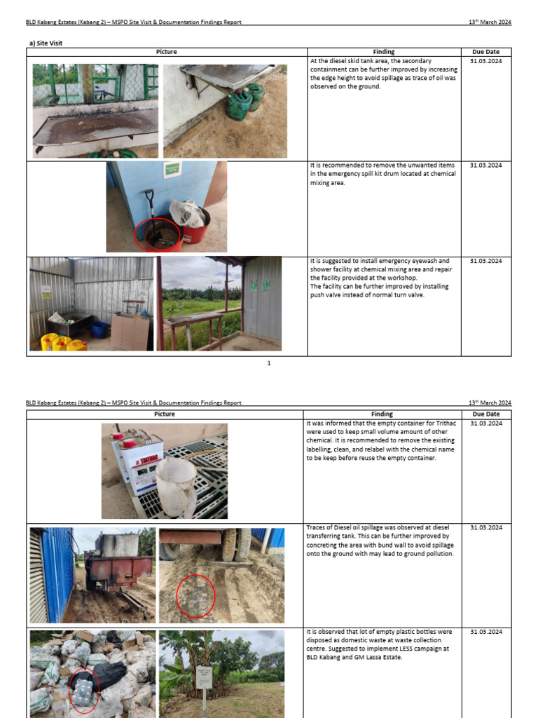 MSPO Findings Report (K2) March 2024 | PDF | Human Impact On The ...