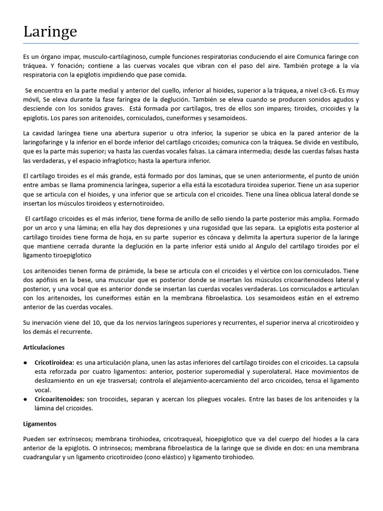 Laringe Pdf Laringe Anatomía Humana