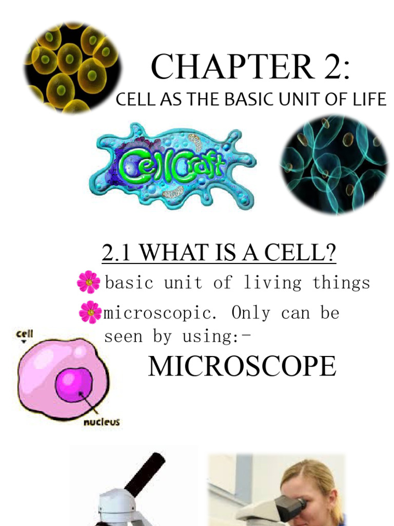CHAPTER 2 Cell as basic unit | PDF | Cell (Biology) | Tissue (Biology)