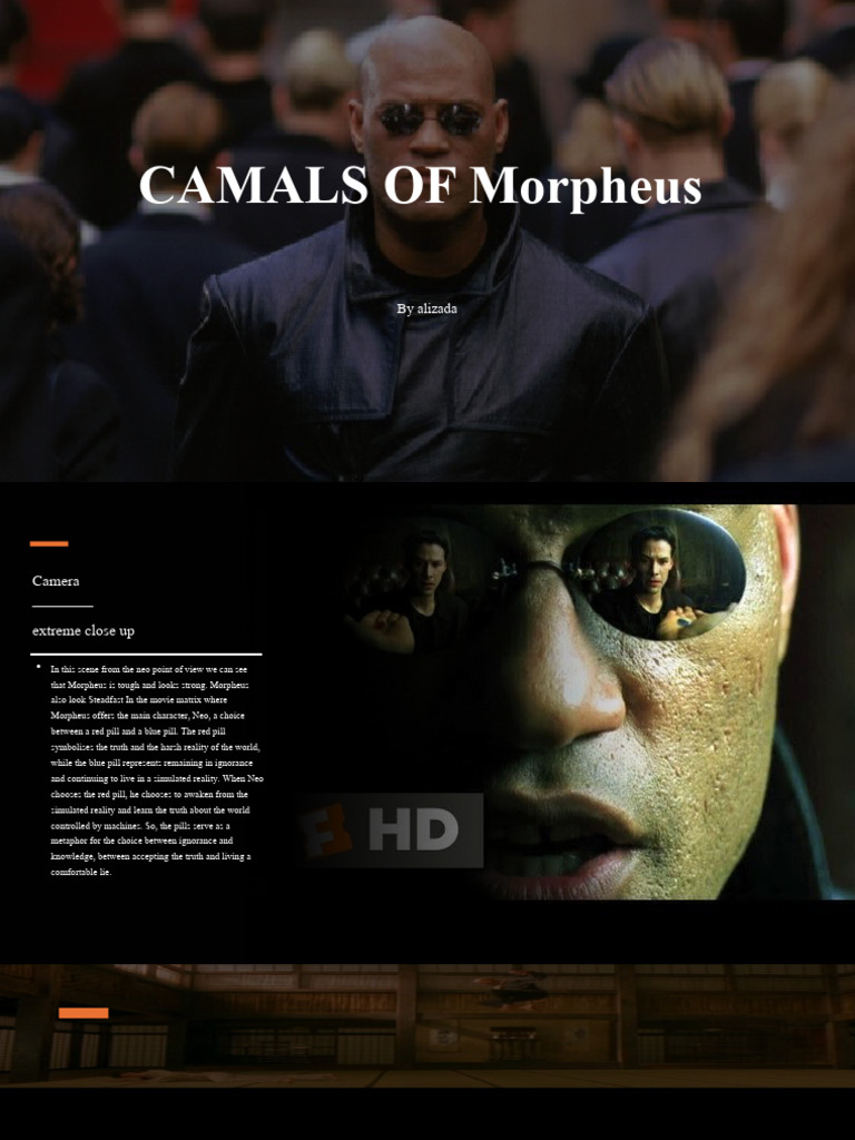 Morpheus in The Matrix: Analysis of Key Scenes | PDF