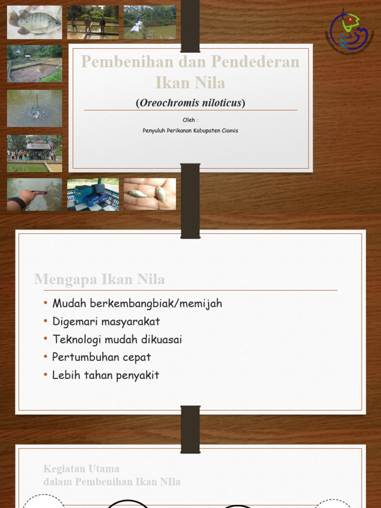 Pembenihan Dan Pendederan Ikan Nila | PDF