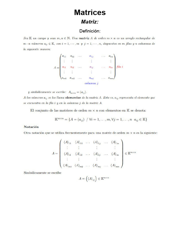 Resumen Elementos de Algebra Lineal | PDF | Matriz (Matemáticas) | Determinante