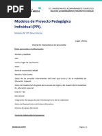 Instructivo Proyecto Pedagogico Individual para La Inclusion Ppi | PDF | Inclusión (Educación ...