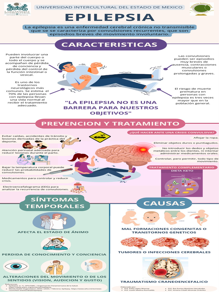 Infografía epilepsia | PDF | Epilepsia | Cuidado de la salud