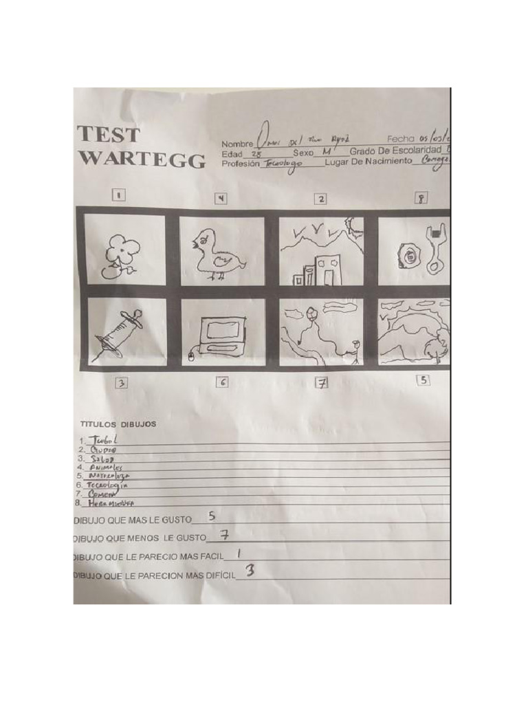 TEST WARTEGG | PDF