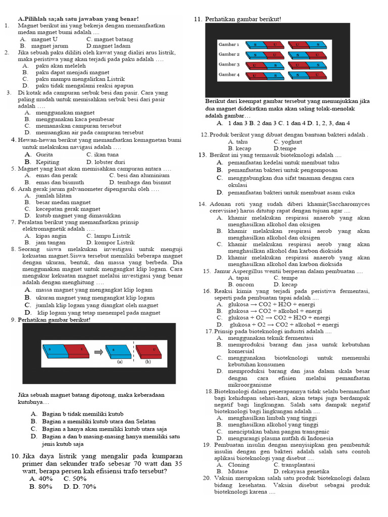 Soal Pts IPA Kelas 9 sm2 | PDF