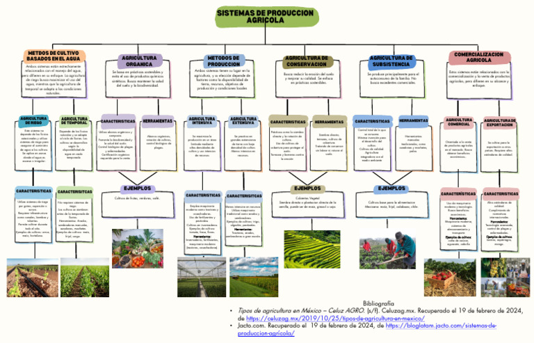 Mapa Conceptual Sistemas de Produccion Agricola | PDF | Agricultura | Riego