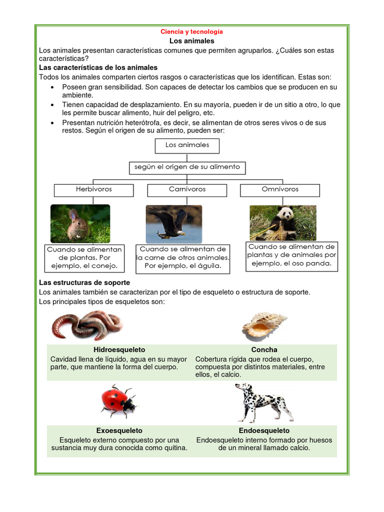 Características y Estructuras de Animales | PDF | Piel | Esqueleto
