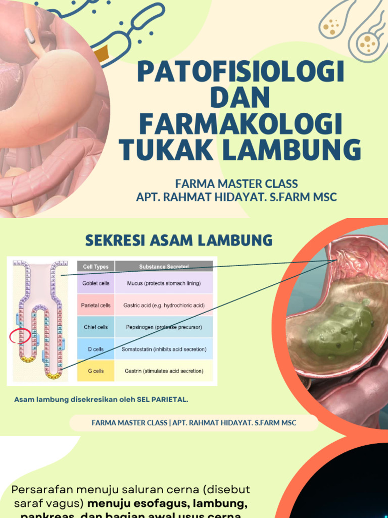 PATOFISIOLOGI dan farmakologi TUKAK LAMBUNG | PDF