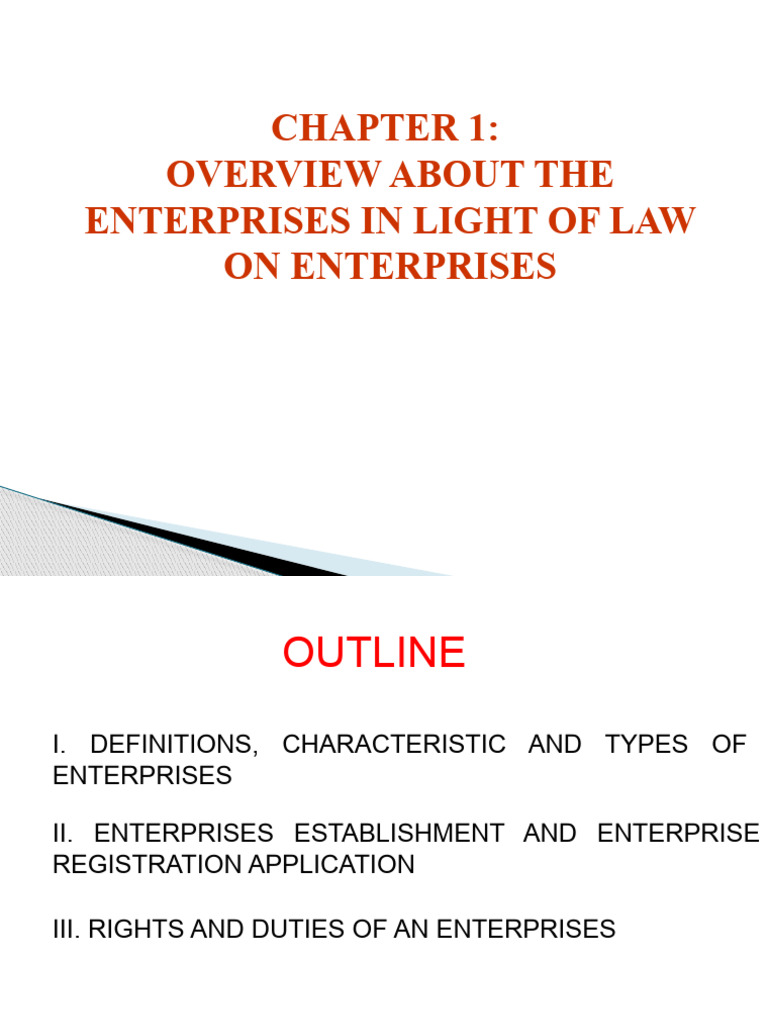 Chapter 1 - Overview | PDF | Joint Stock Company | Sole Proprietorship