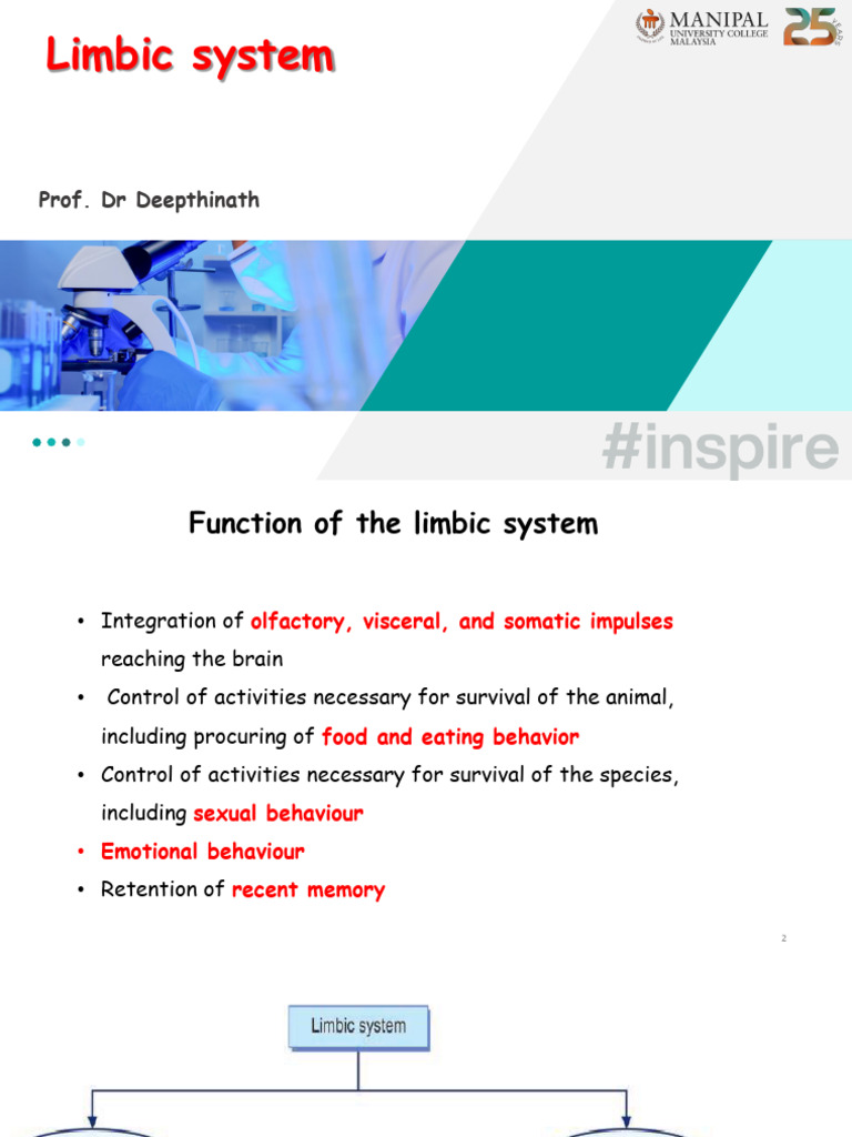 Limbic System | PDF | Hippocampus Anatomy | Hippocampus