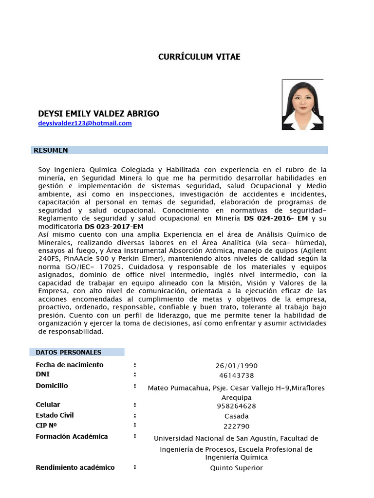 CV Deysi Valdez Abrigo . | PDF | Laboratorios | Minería