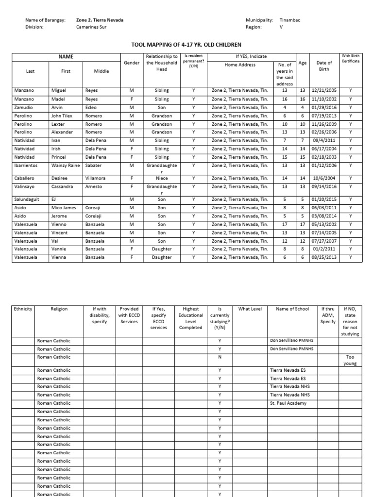 Annex 1b Child Mapping Template | PDF