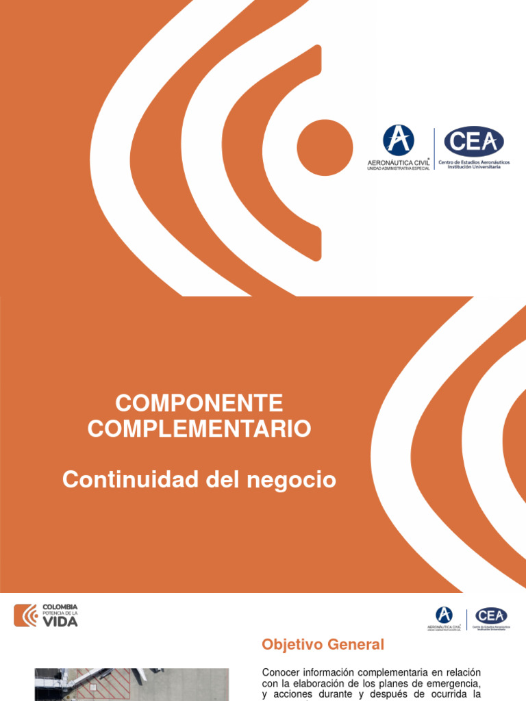 Componente Complementario-Continuidad Del Negocio | PDF | Riesgo | Valores