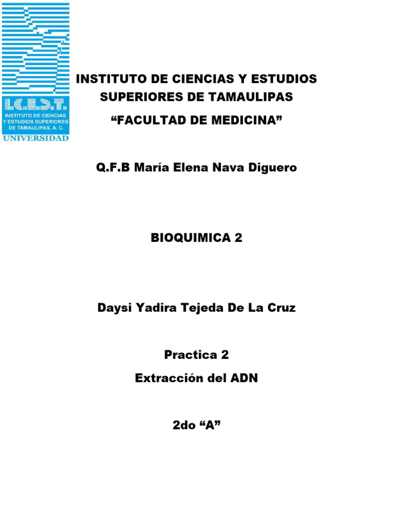 Practica Bioquimica Pdf Adn ácidos Nucleicos