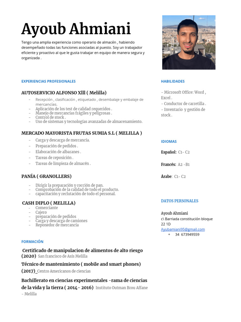 Curriculum Vitae 3 | PDF