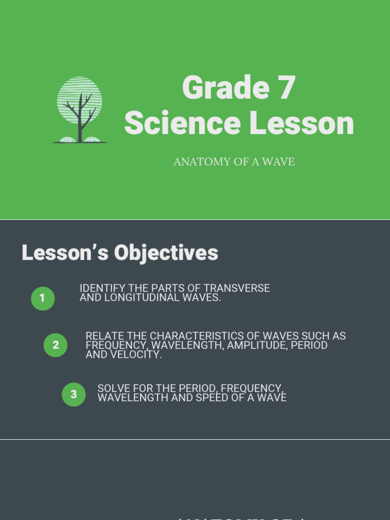 Anatomy of A Wave Notes | PDF | Wavelength | Frequency