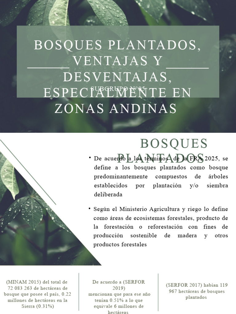 Ventajas y Desventajas de Bosques Plantados | PDF | Los bosques | Suelo