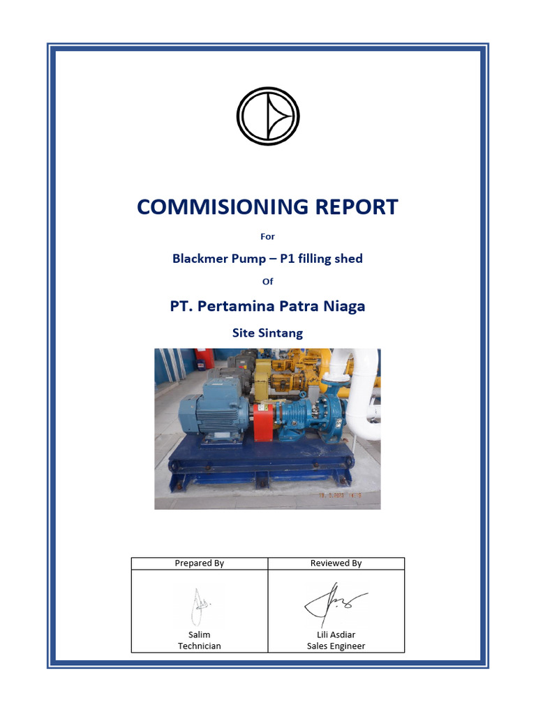 Blackmer Pump Commissioning Report | PDF | Fluid Dynamics | Viscosity