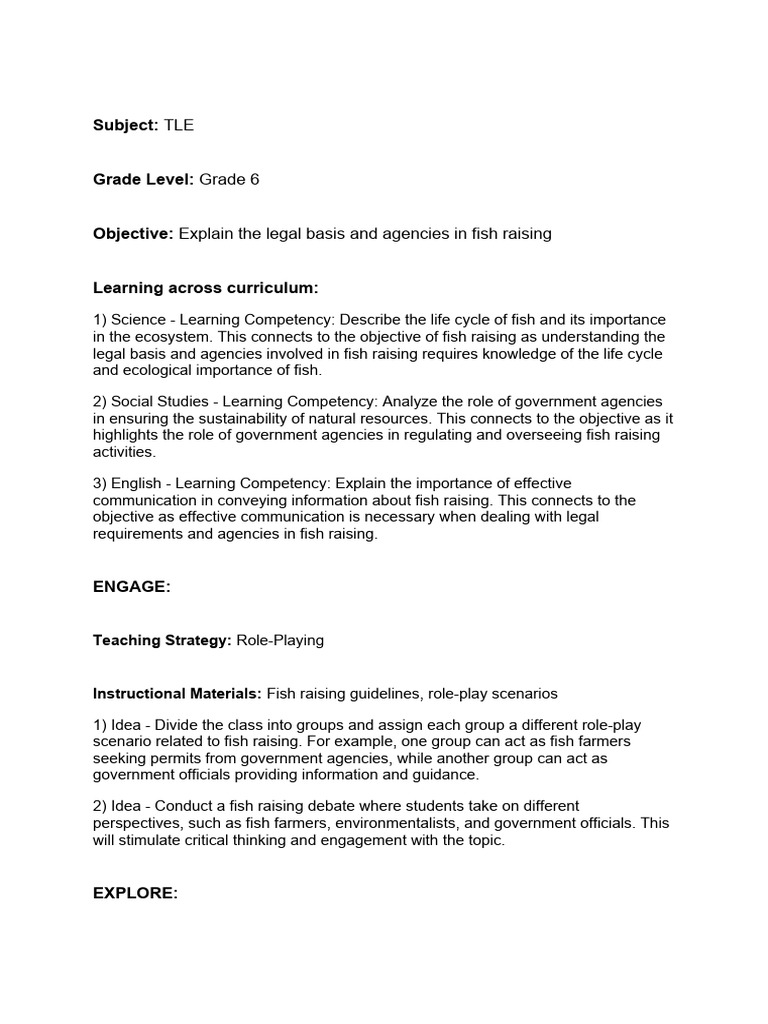 lesson_plan (20) | PDF | Learning | Rubric (Academic)