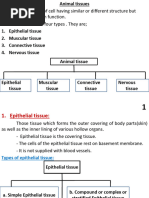 Practical Task 2 Starfish Development | PDF | Zoology | Morphology ...
