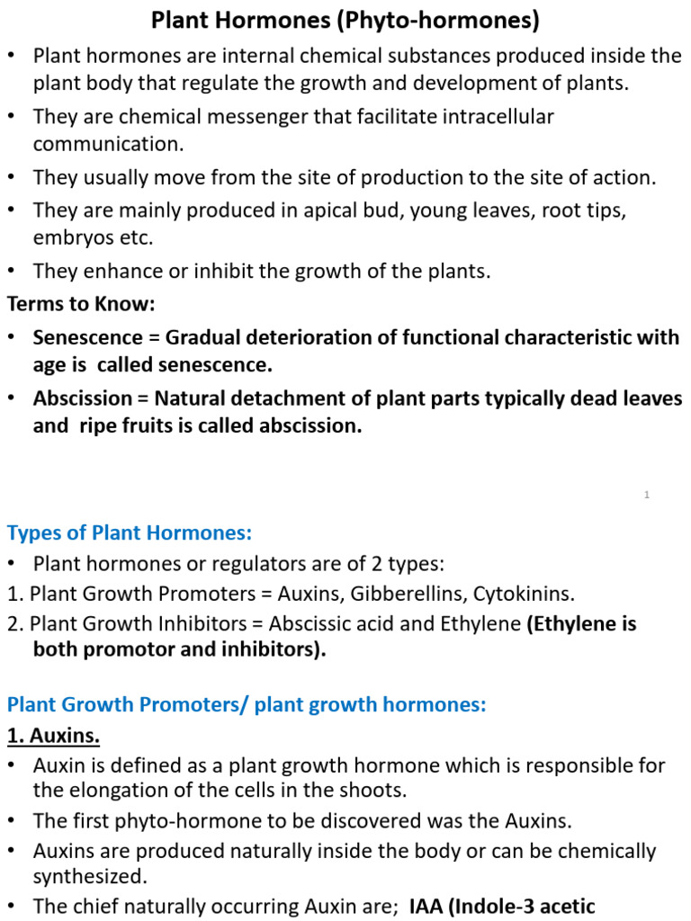 Understanding Plant Hormones and Their Functions | PDF | Auxin | Plant ...