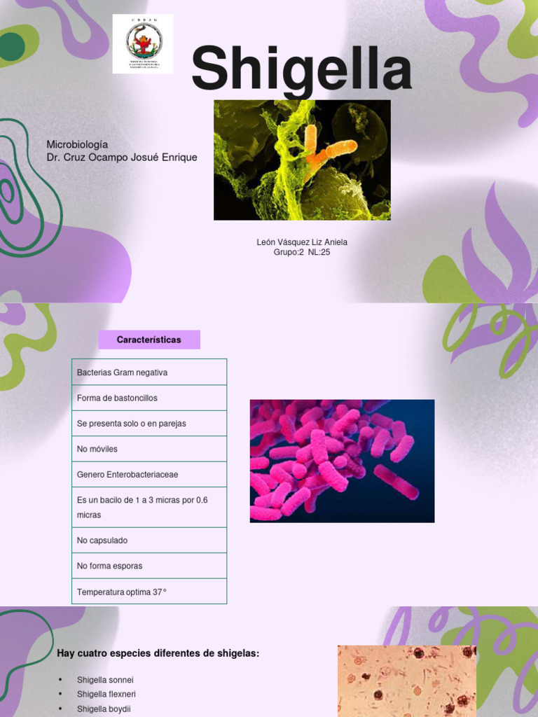 Shigella | PDF | Diarrea | Especialidades Medicas