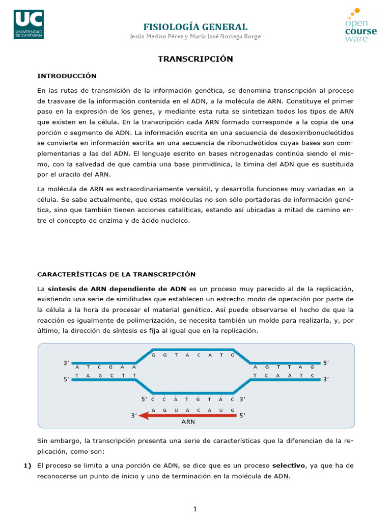 Proceso de Transcripción en Biología | PDF | Rna | Messenger Rna