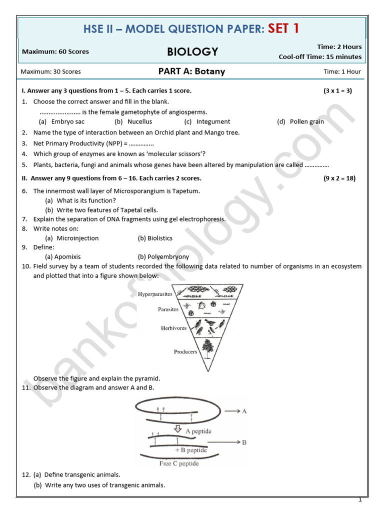 +2 Biology Model QPs For 2024 Exam SET 1 | PDF | Homo | Biology