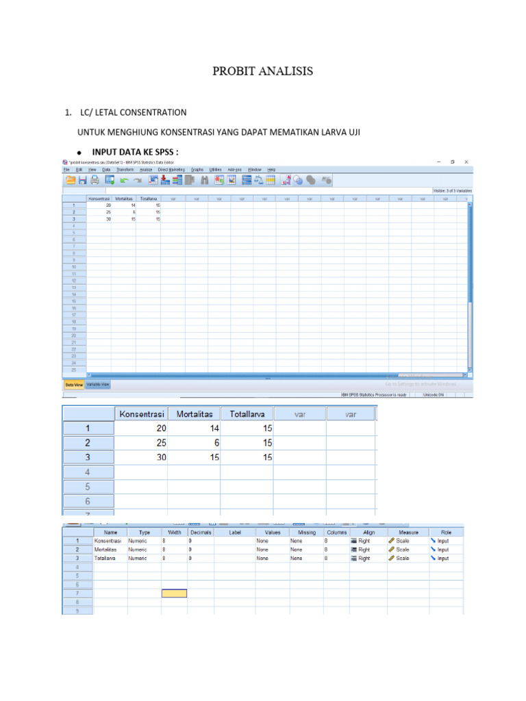 Pembuatan Probit Analisis | PDF | Komputer | Teknologi & Rekayasa
