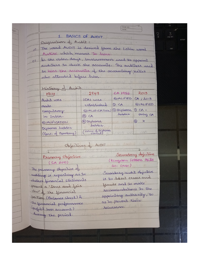 Basics of Audit | PDF