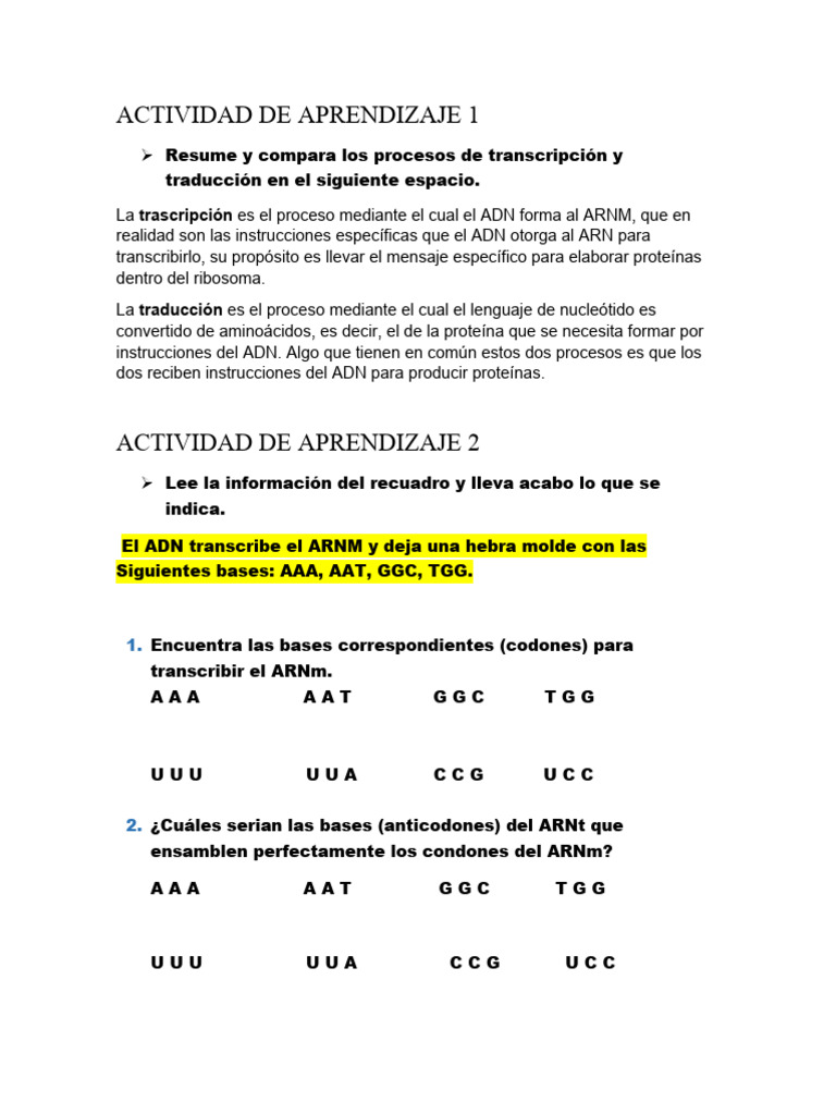 ACTIVIDAD-DE-APRENDIZAJE-1 3 | PDF | Rna | Adn