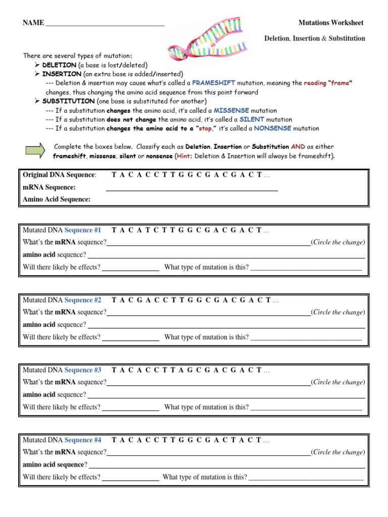 Bio-Worksheet-Mutations | PDF | Point Mutation | Mutation