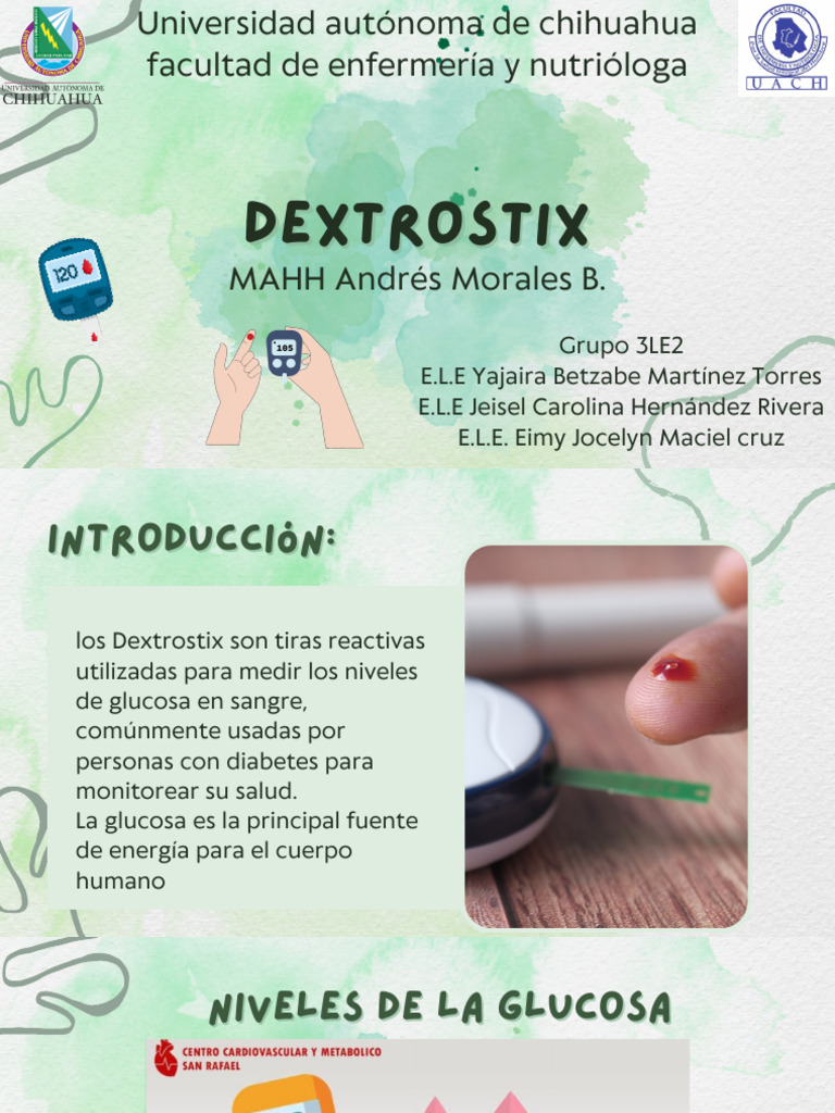 Presentación de Proyecto en Acuarela Moderna Verde - 20240310 - 111732 ...