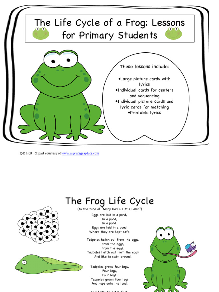 Frog Life Cycle Lessons for Kids | PDF | Frog | Zoology