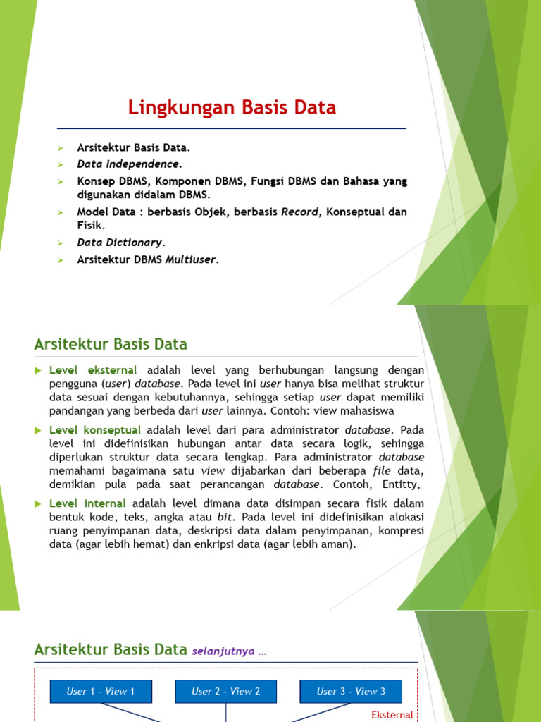 Arsitektur & Konsep DBMS | PDF