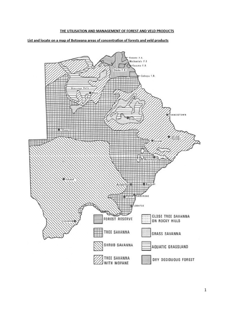 Veld Products-Lesson Notes | PDF | Soil | Forests