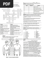 Bio101 Lab Activity 03 - The Microscope | PDF | Microscope | Field Of View