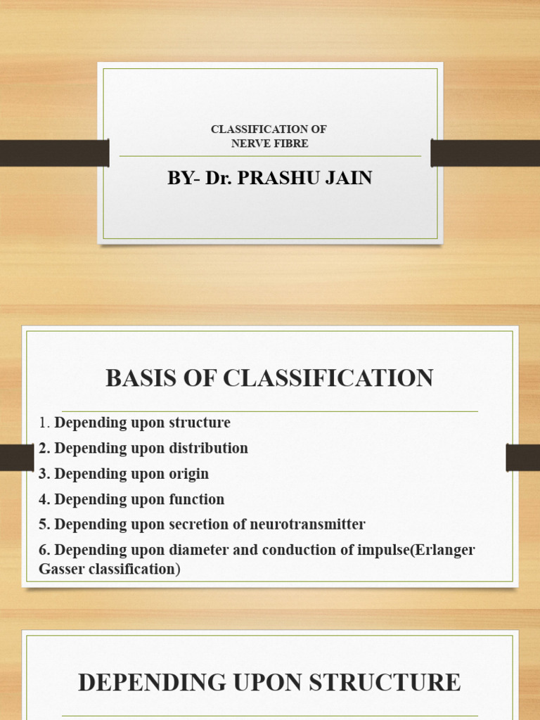 Erlanger-Gasser Nerve Fiber Classification | PDF | Self-Improvement